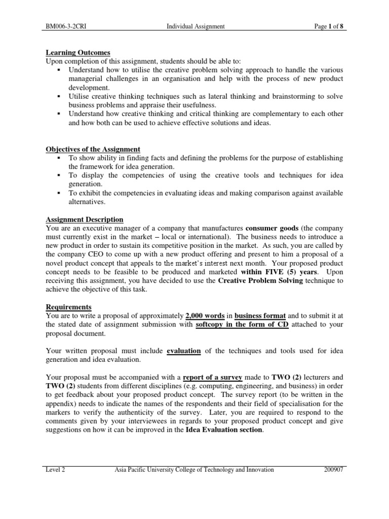 CRI Individual Assignment (v3.2) | PDF | Market Segmentation | Creativity