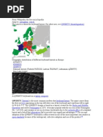 The Qwerty Keyboard Layout | PDF | Typewriter | Input/Output