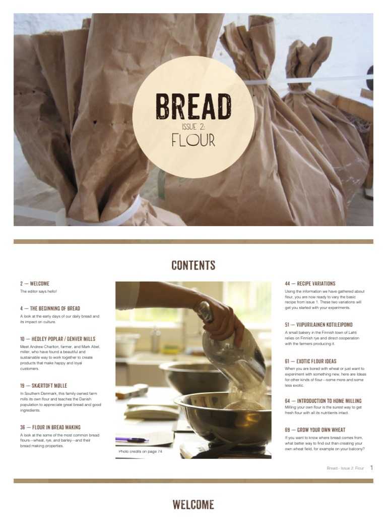 Bread | PDF | Sumer | Breads