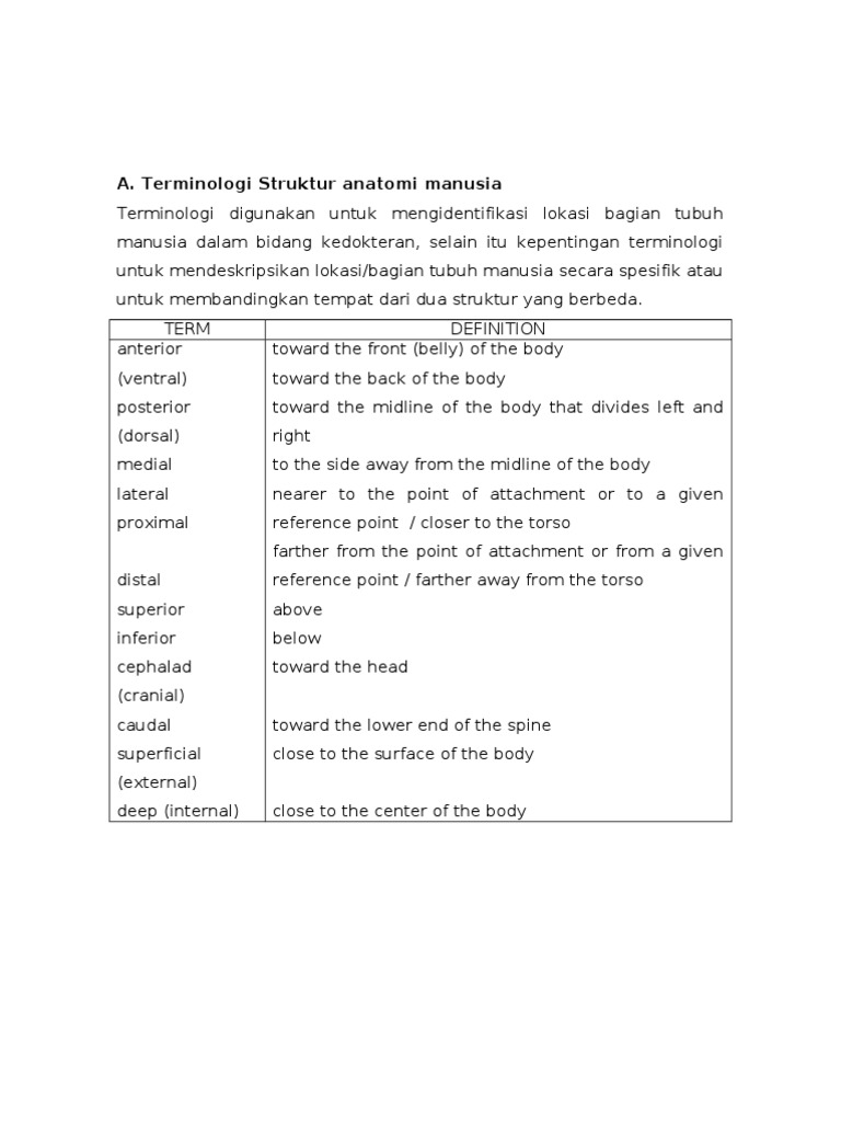 Terminologi Anatomi Manusia I | PDF