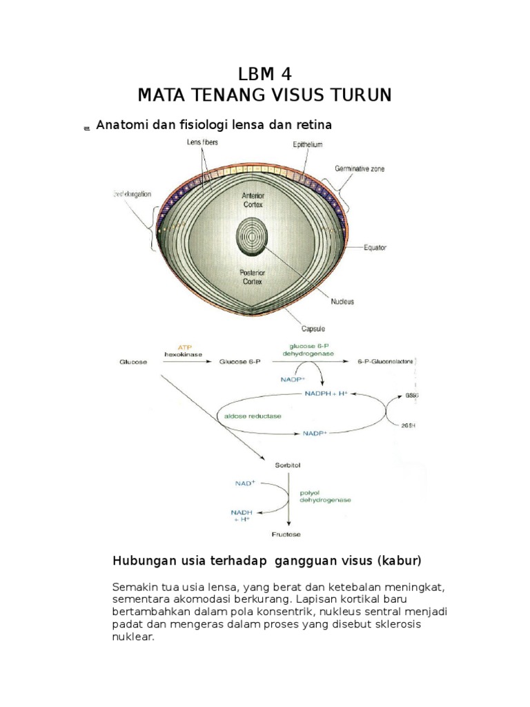 LBM 4 Andrio Mata Tenang Visus Turun | PDF