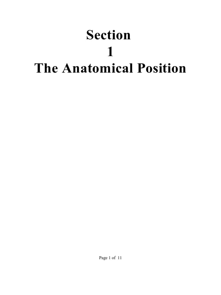The Anatomical Position | PDF