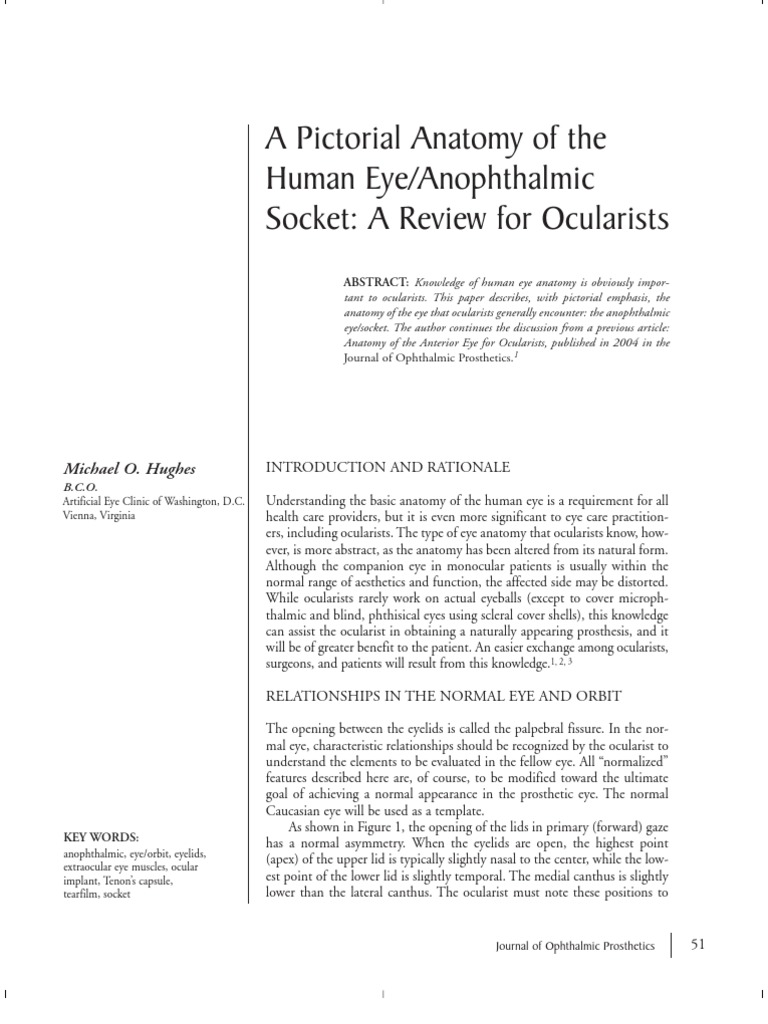 Pictorial Anatomy of Human Eye or Anophthalmic Socket | PDF | Human Eye ...