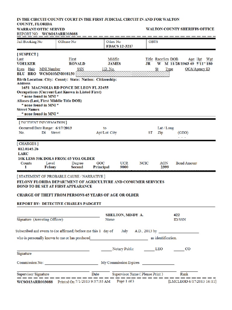 Voelker Arrest Report | PDF