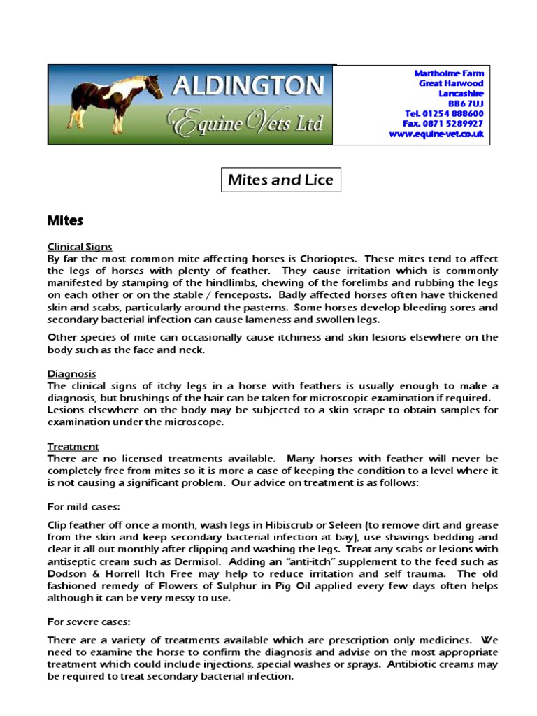 Vet advice on mites and lice treatment for horses | PDF | Medicine ...