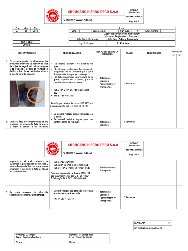 Informe Inspeccion Comedor | PDF