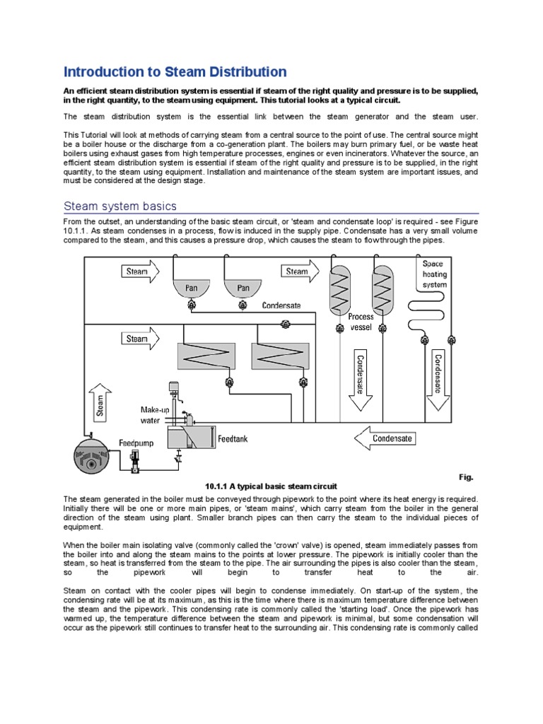 Overview of Steam Distribution Systems | PDF | Steam | Boiler