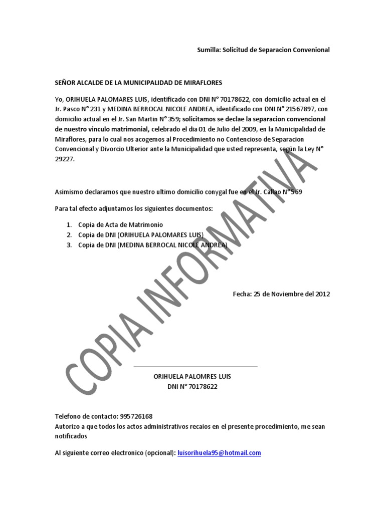 Copia Informativa | PDF | Gobierno | Violencia