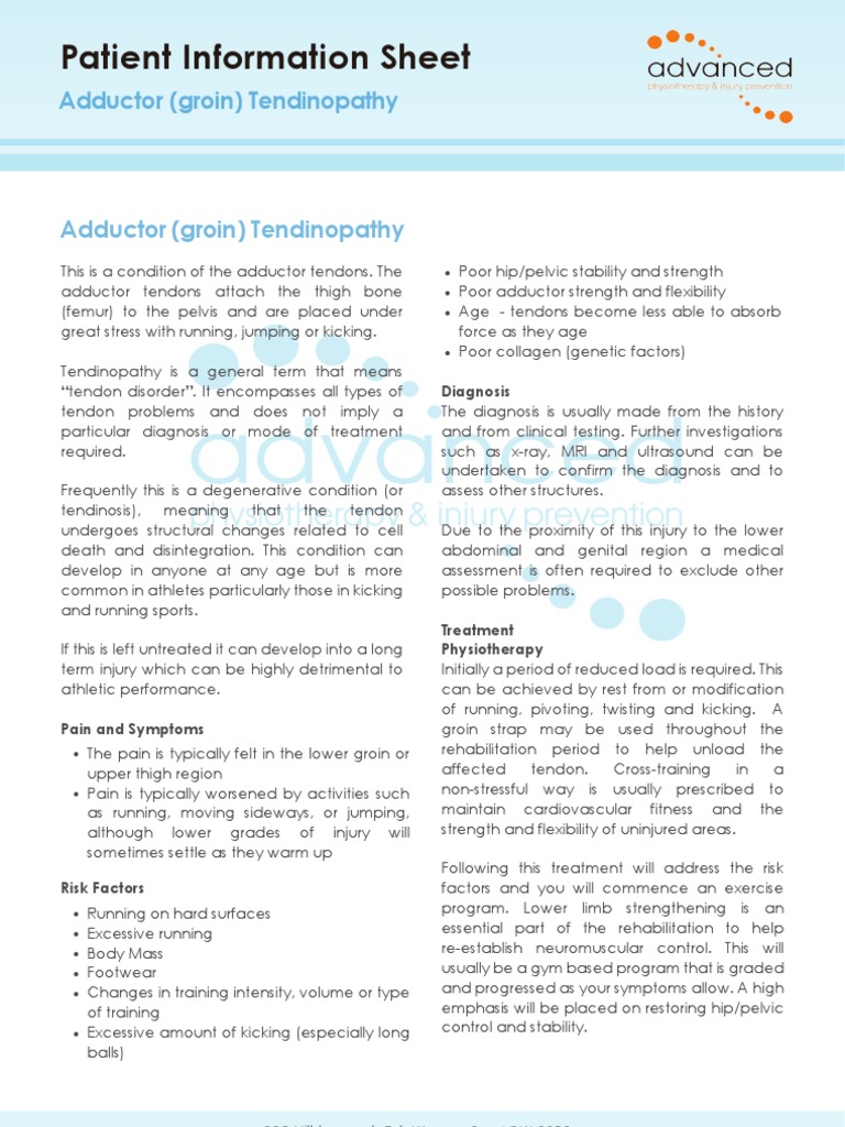 Athlete's Guide to Groin Tendinopathy | PDF | Tendon | Pain