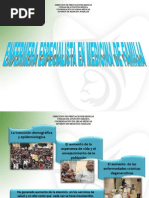 Lineamientos Generales Del Pvu 2024 | PDF