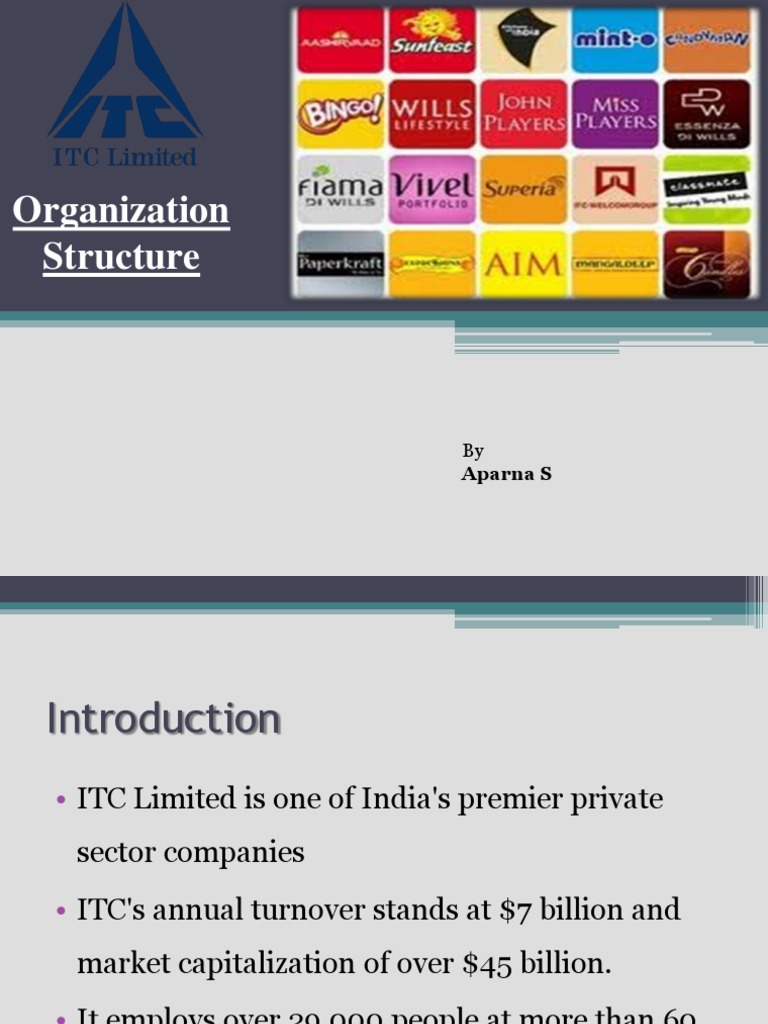 Itc Org Struct Pdf Business Business General