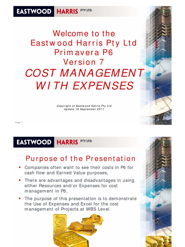 P6 Cost Management With Expenses | PDF | Microsoft Excel | Expense