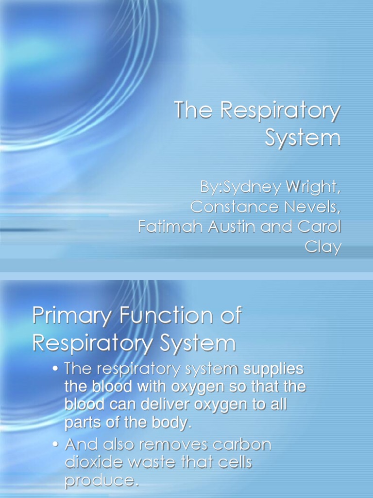 Respiratory System Powerpoint 1232722875244833 1 | PDF | Respiratory ...