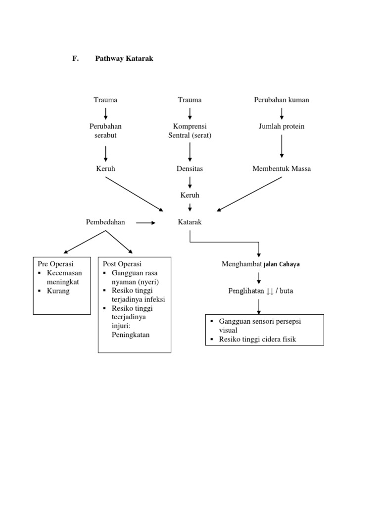 Woc Katarak | PDF | Kesehatan Holistik | Sains & Matematika
