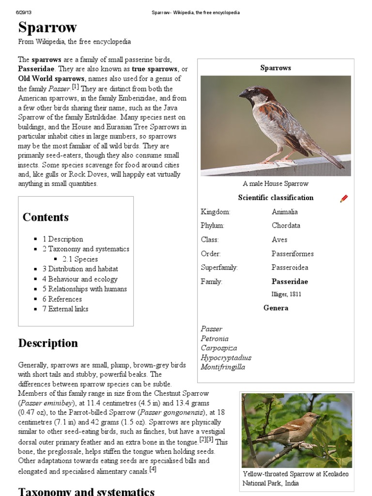 Sparrow - Wikipedia, The Free Encyclopedia | PDF | Birds | Tetrapods