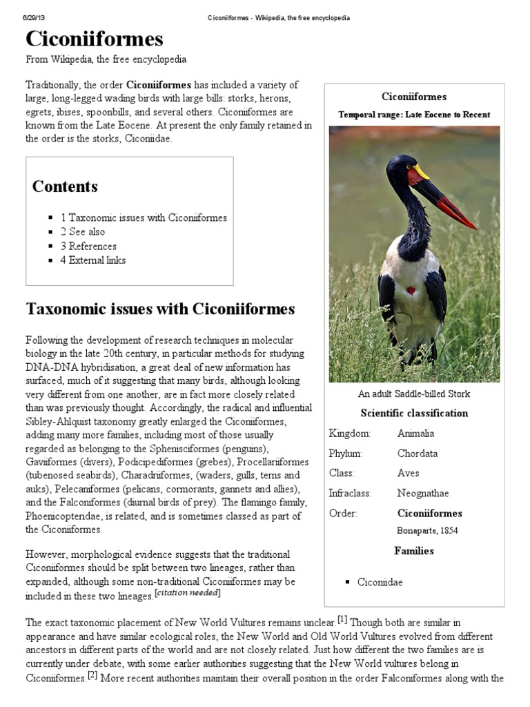 Ciconiiformes - Wikipedia, The Free Encyclopedia | PDF | Birds | Tetrapods
