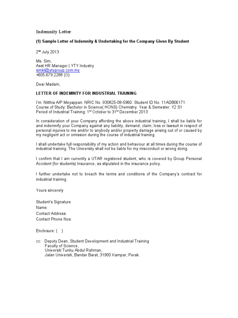 Appendix 1 IT Indemnity Letter | PDF