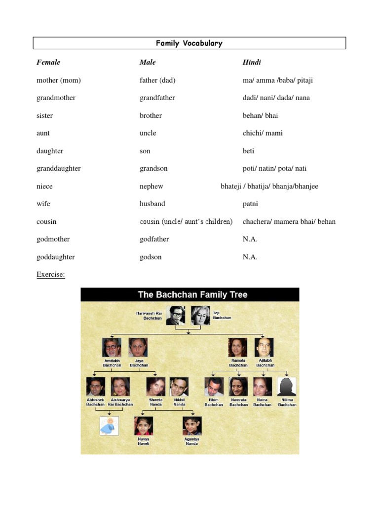 Family Tree, Vocabulary | PDF
