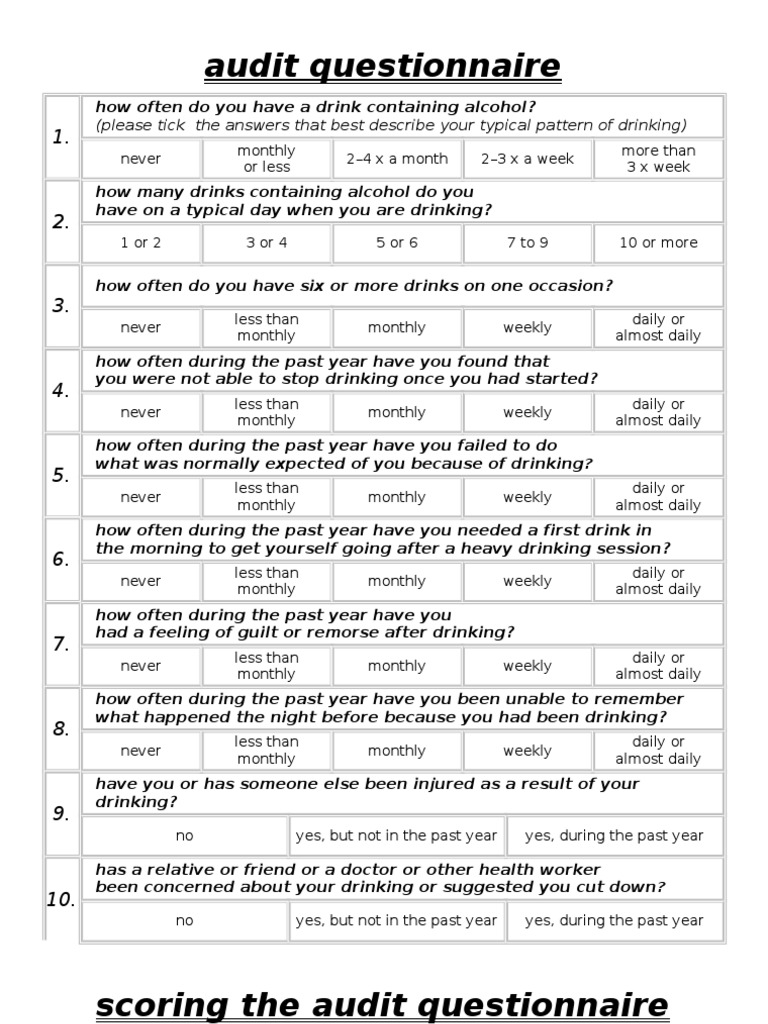 Audit Questionnaire: (Please Tick The Answers That Best Describe Your ...