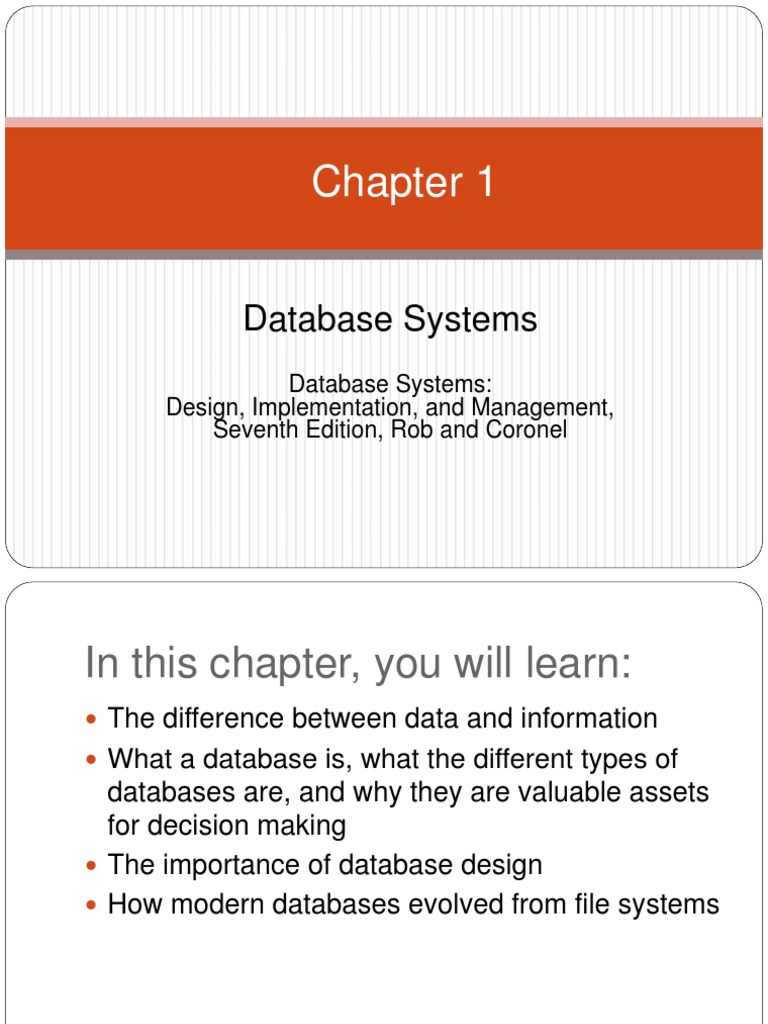 Chapter 1 | PDF | Databases | File System