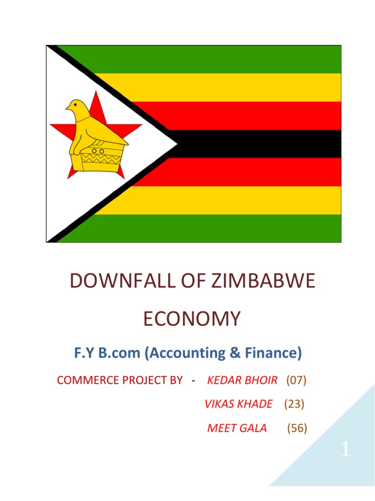 Zimbabwe Downfall | PDF