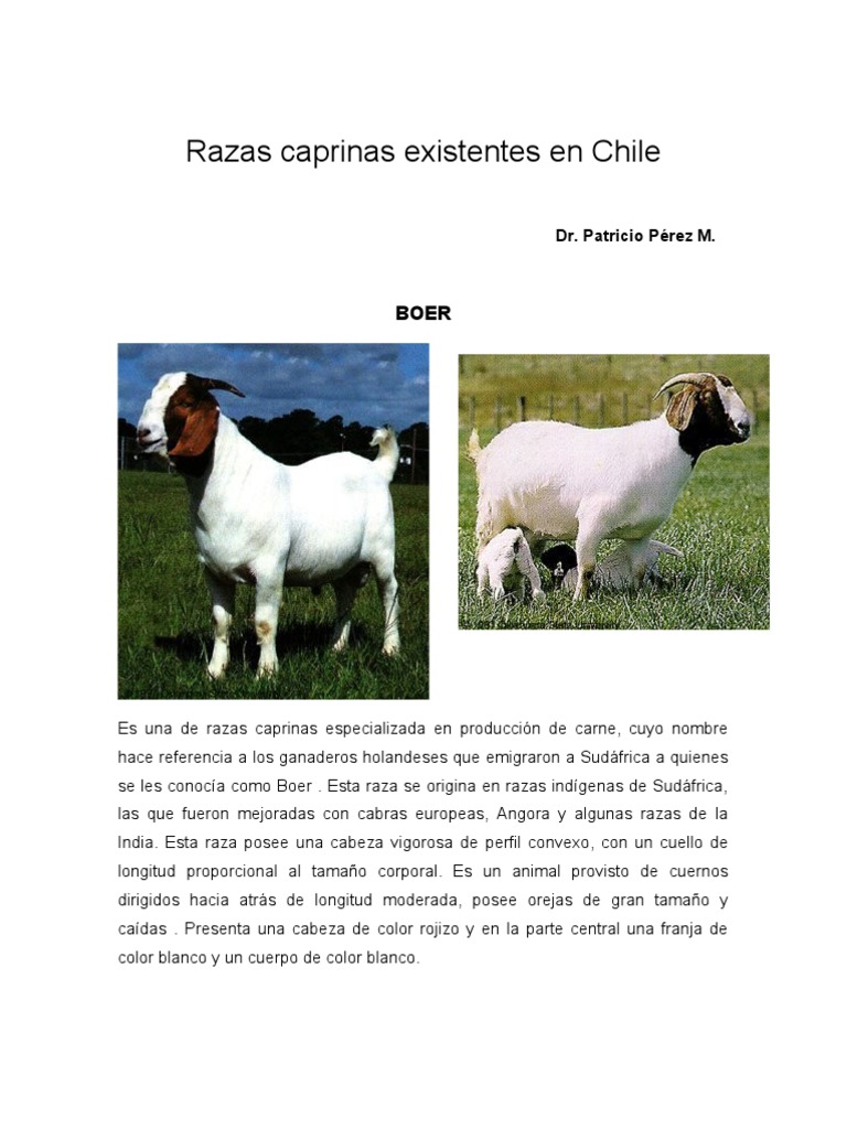 I. Razas Caprinas. 2010 | PDF | Cabra | Naturaleza