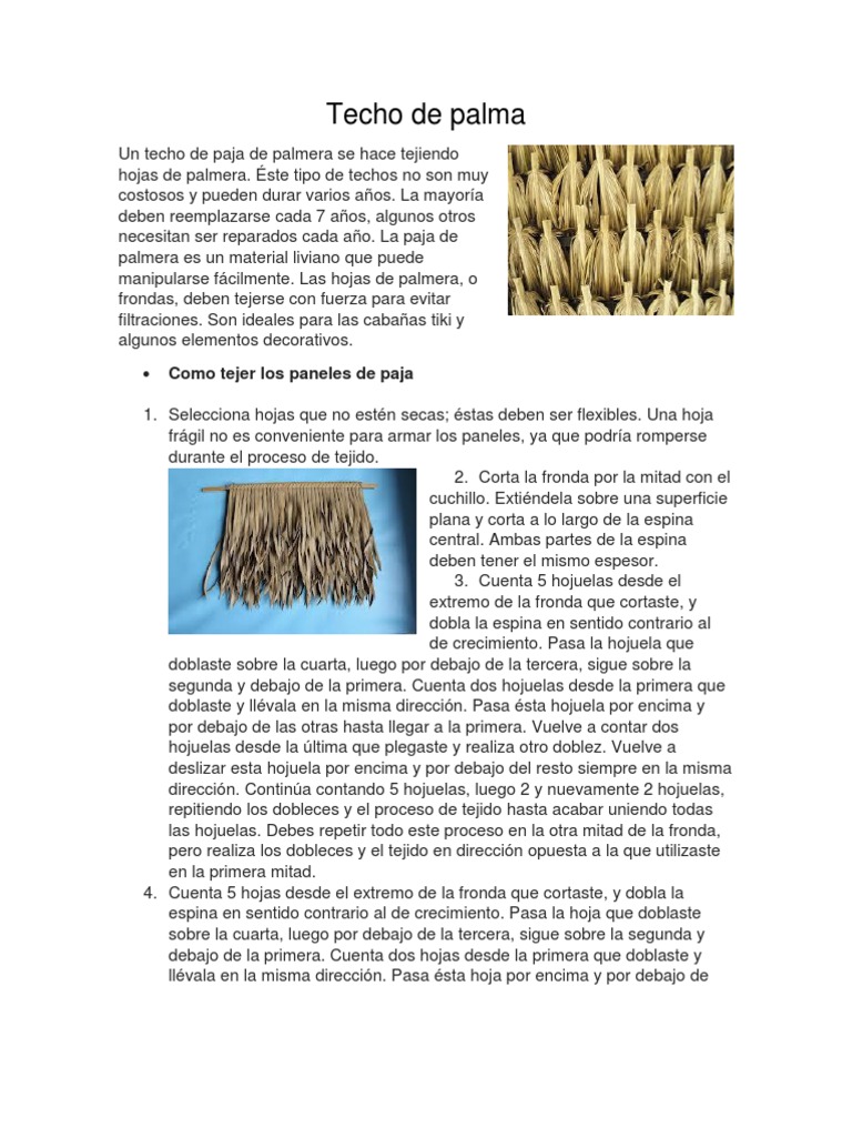 Cómo hacer un techo de palma paso a paso | PDF | Hoja | Naturaleza