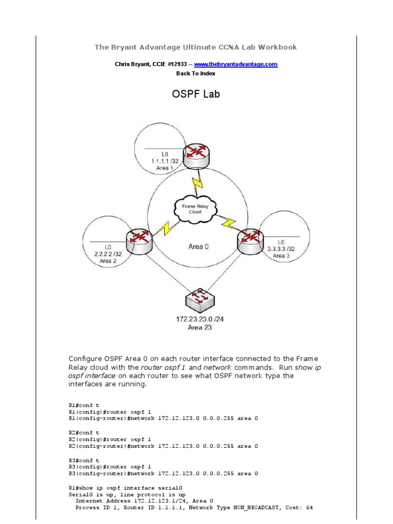 08.OSPF Lab | PDF | Ip Address | Router (Computing)
