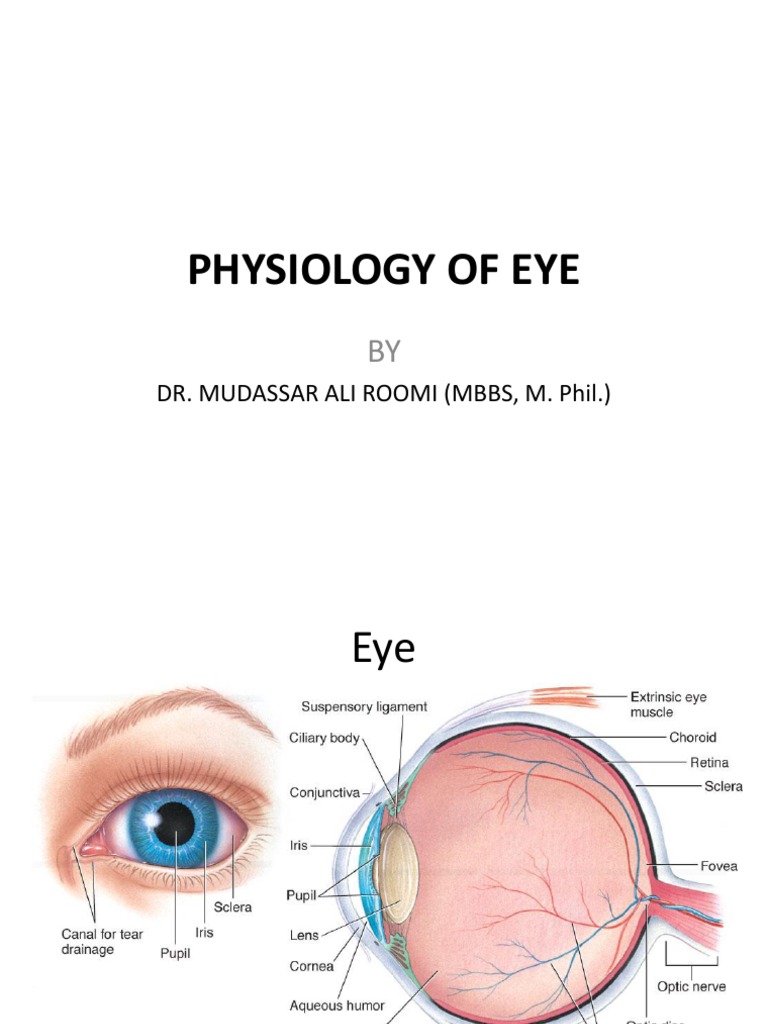 1st Lecture on Physiology of Eye by Dr. Roomi | Human Eye | Eye