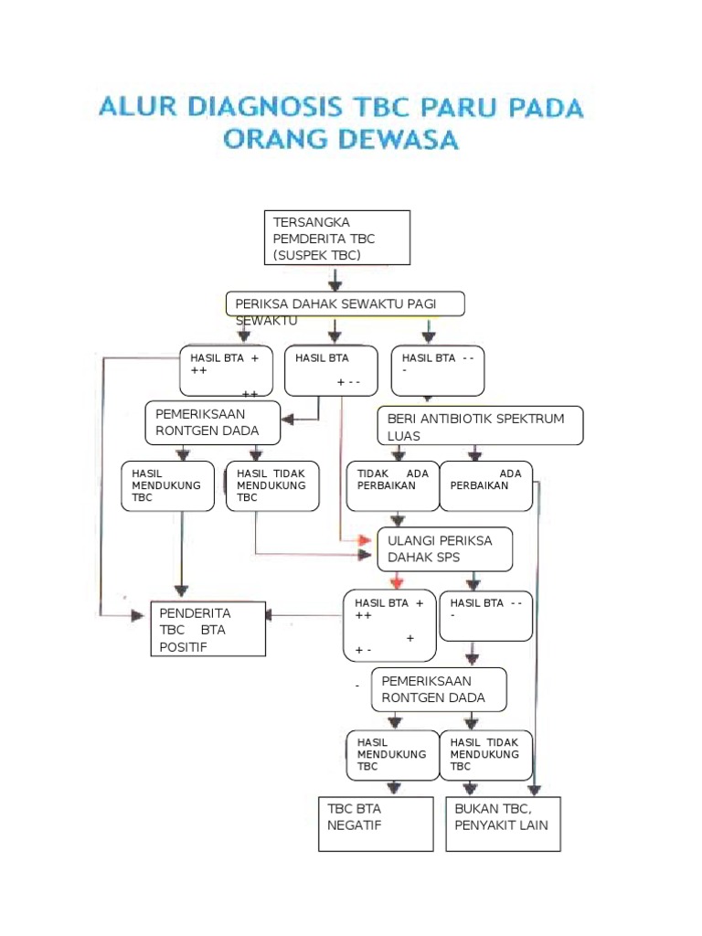 Alur TBC Dewasa | PDF