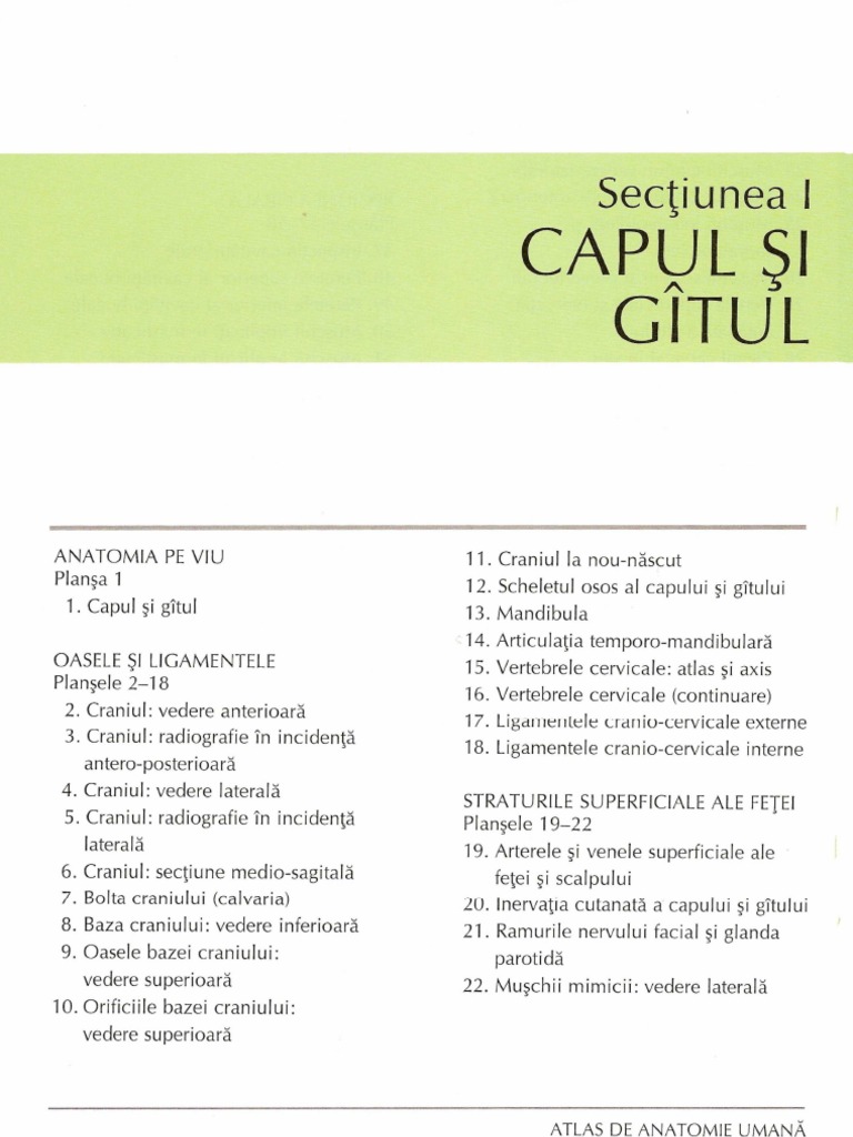 Anatomie Cap Si Gat | PDF