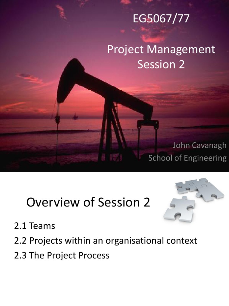 Team Dynamics in Project Management | PDF | Project Management | Business