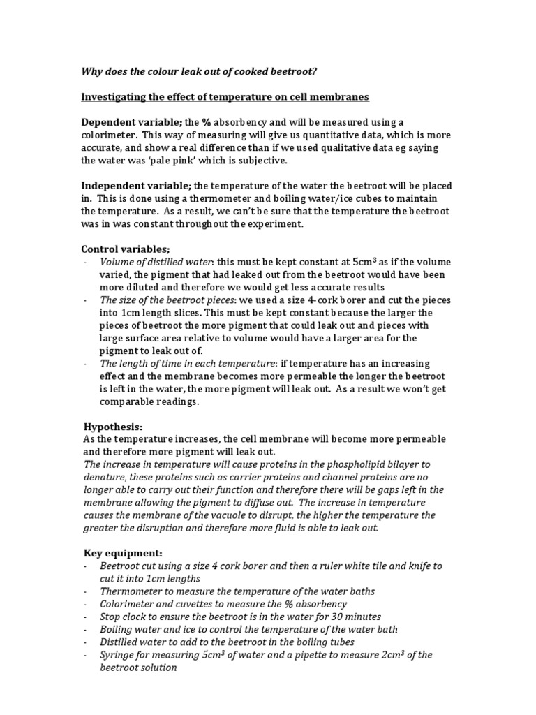 Why Does The Colour Leak Out of Cooked Beetroot | PDF | Cell Membrane ...