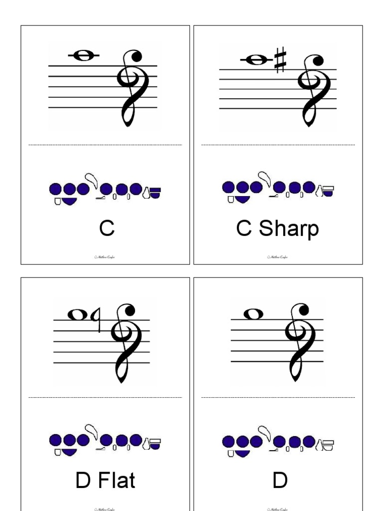 Flash Card Flute | PDF