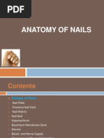 8 Parts of Nail Care Structure | PDF | Nail (Anatomy) | Skin