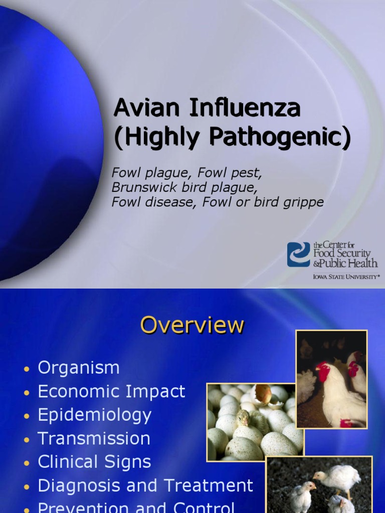 Avian Influenza (Highly Pathogenic) : Fowl Plague, Fowl Pest, Brunswick ...