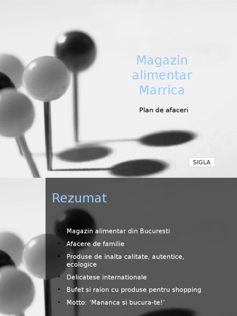 Prezentare Magazin Alimentar | PDF