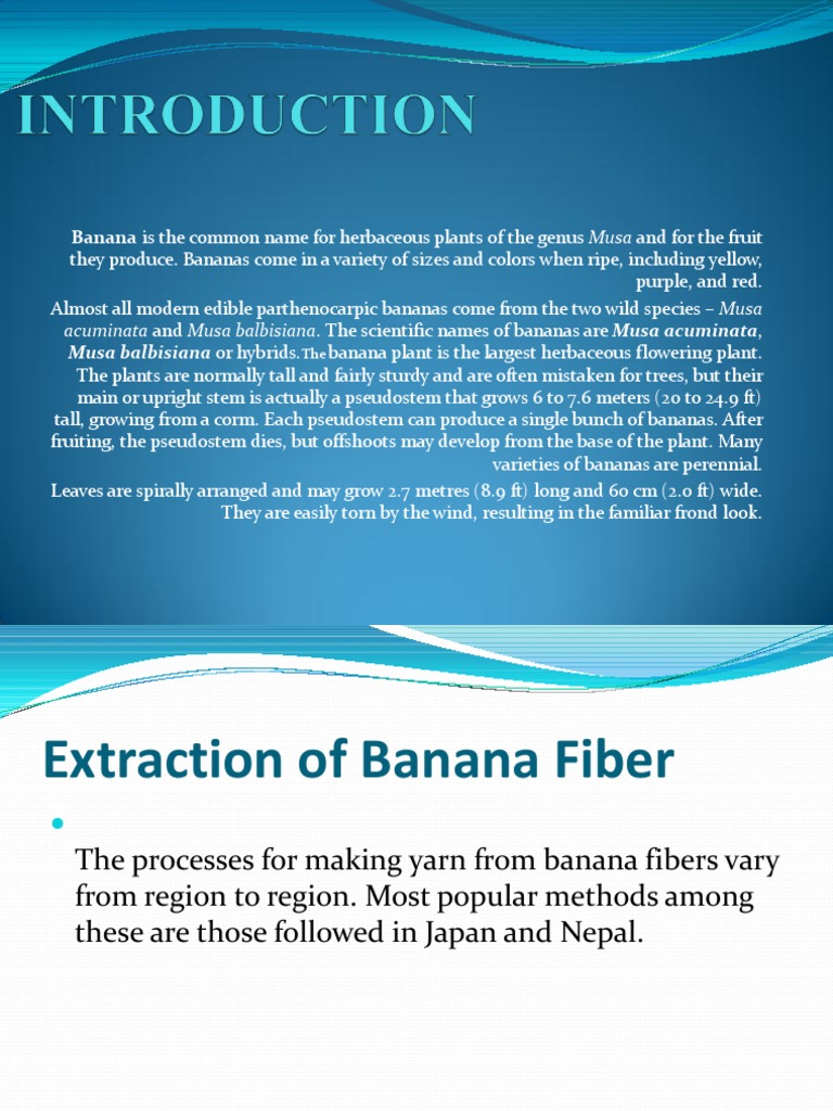 Extraction And Applications Of Banana Fibers Traditional Methods