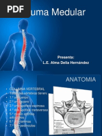 Cápsula de Glisson | PDF | Tejido adiposo | Riñón