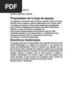 Plantilla Provisional Acceso Libre Día 25 de Enero de 2025 | PDF