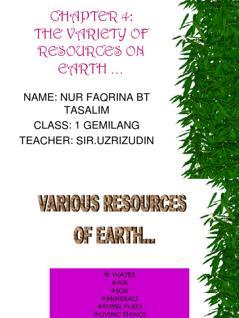 Earth's Essential Resources Explained | PDF | Soil | Plants
