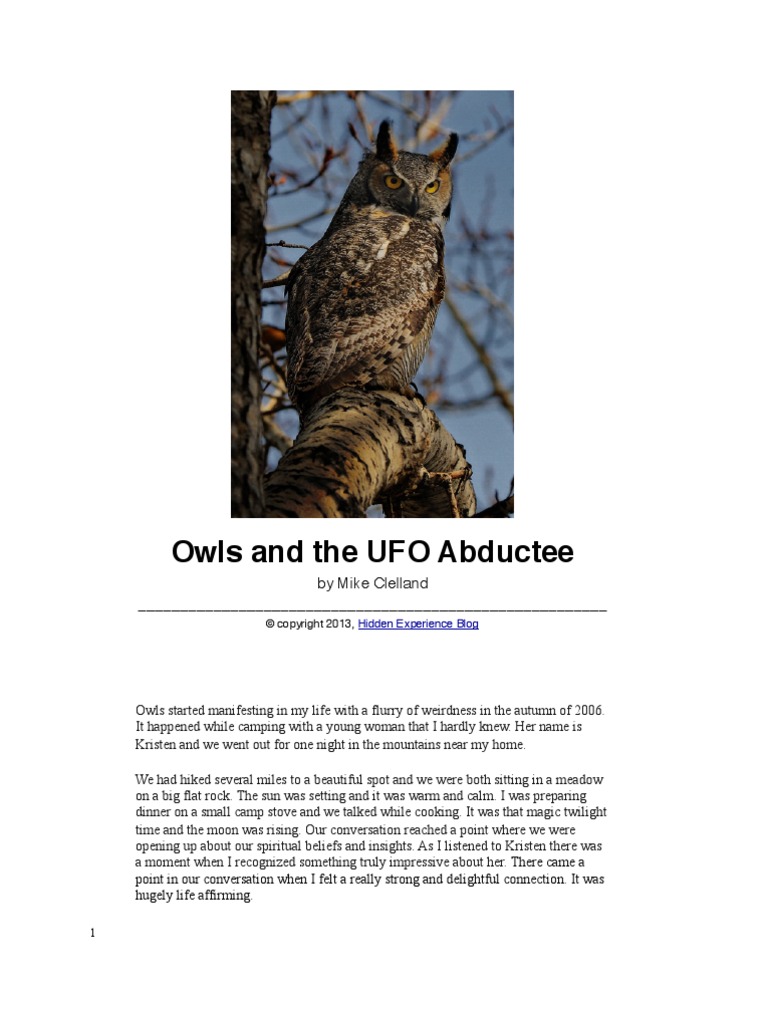Owls and the UFO Abductee | Alien Abduction