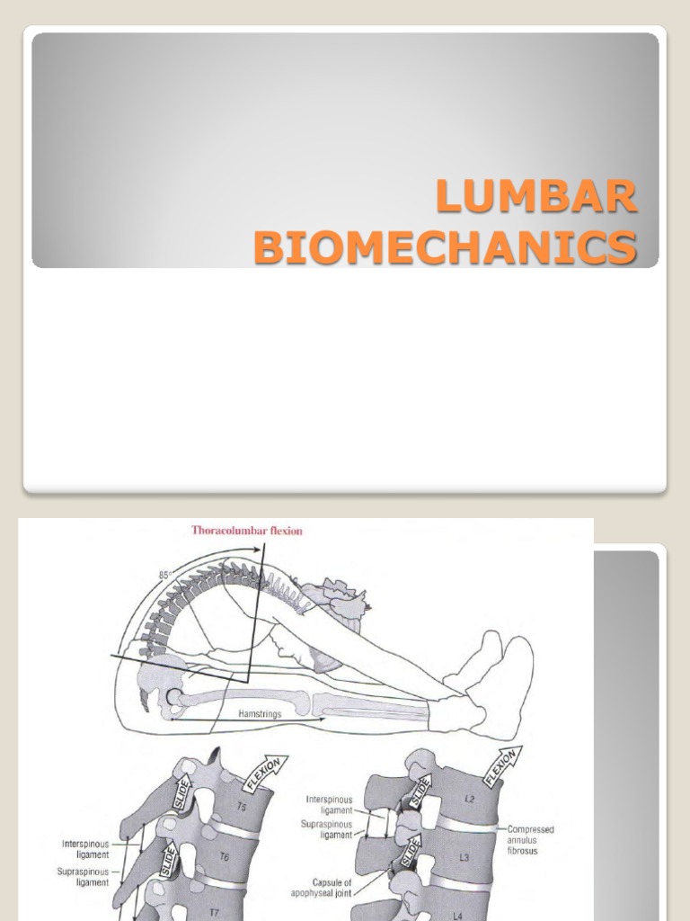 Lumbar Biomechanics | Pelvis | Hip