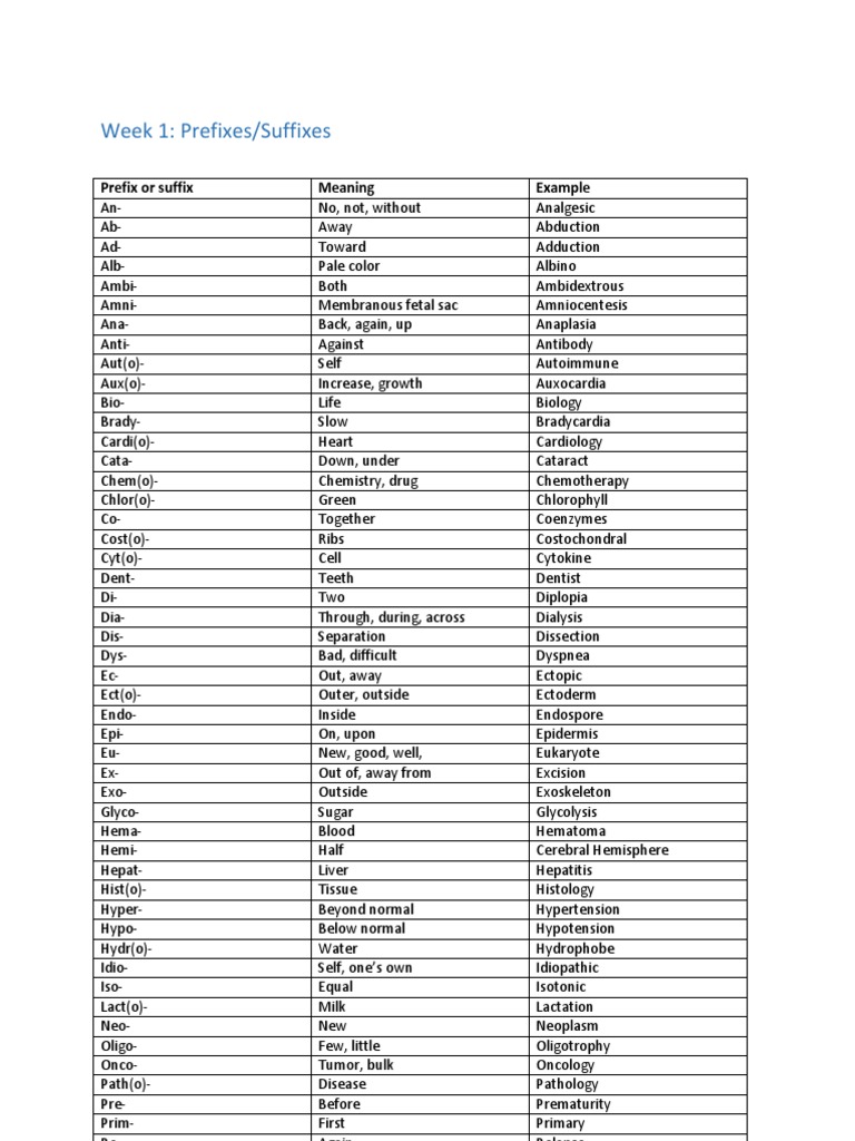 Math Prefixes and Suffixes Guide | PDF | Wellness | Science & Mathematics