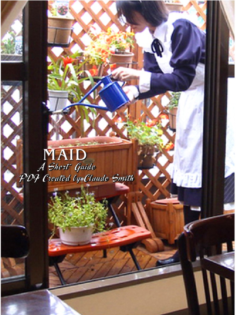 Maid Guide Final PDF | PDF | Cosplay | Costume