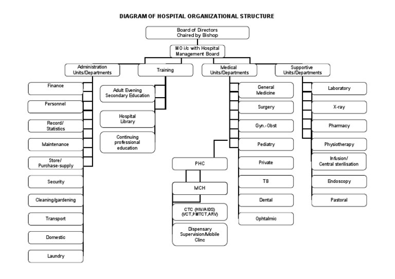 Hospital Department Structure