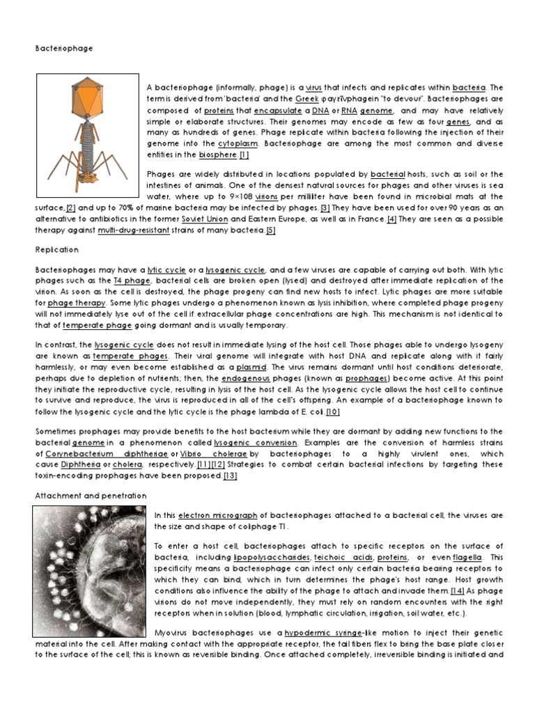 Bacteriophage (Definition, Parts and Function) | PDF | Bacteriophage ...