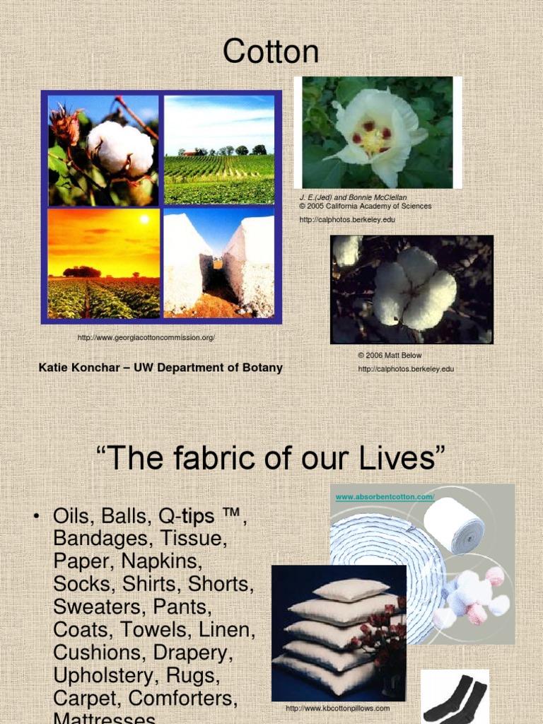 Cotton | PDF | Cotton | Biology
