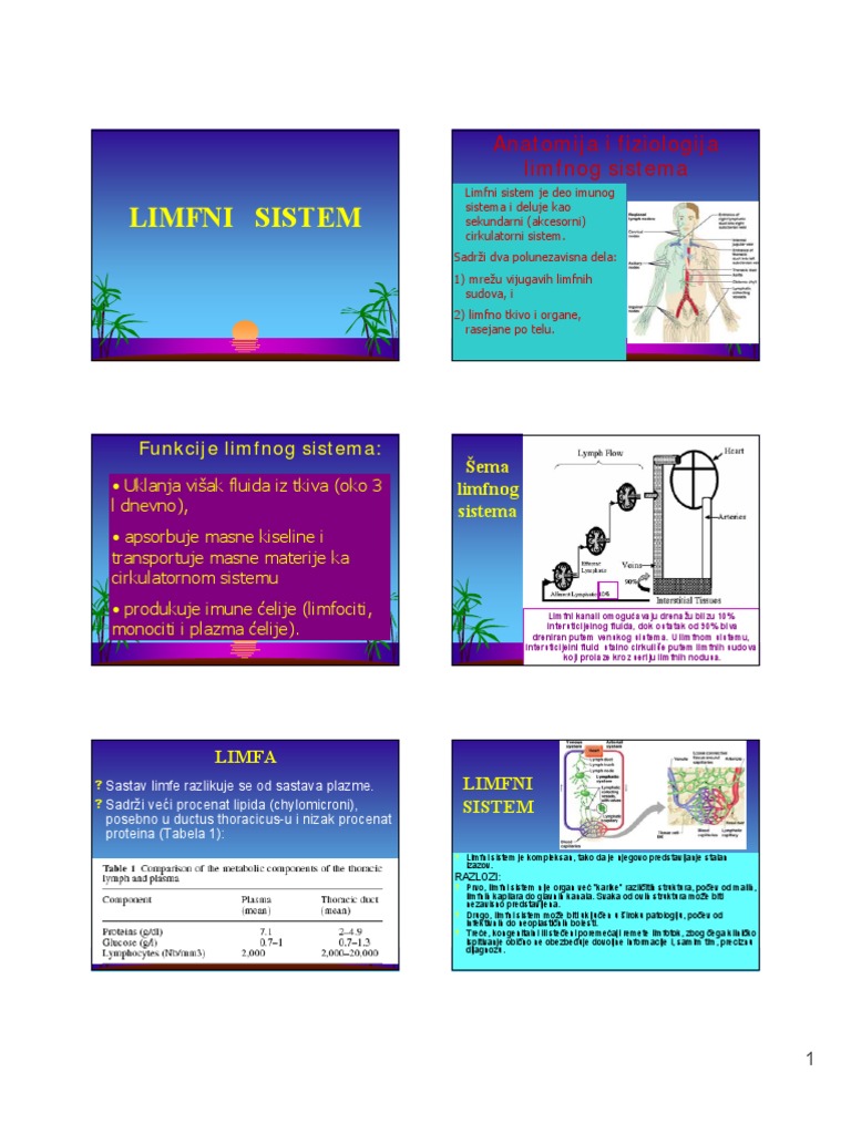 Limfni Sistem | PDF