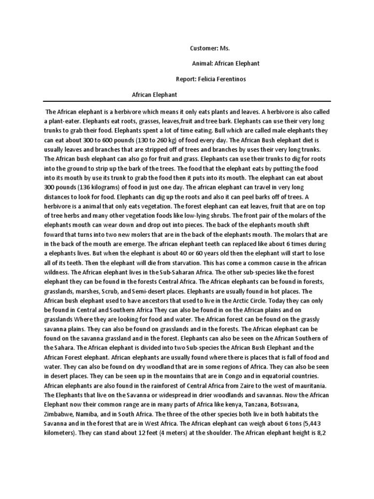 African Elephant Report | PDF | Elephant | Herbivorous Animals